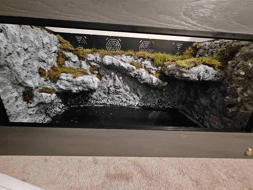 Quick Ship 4'x2'x2' | 4 Foot Luxury Reptile Enclosure – Toad Ranch
