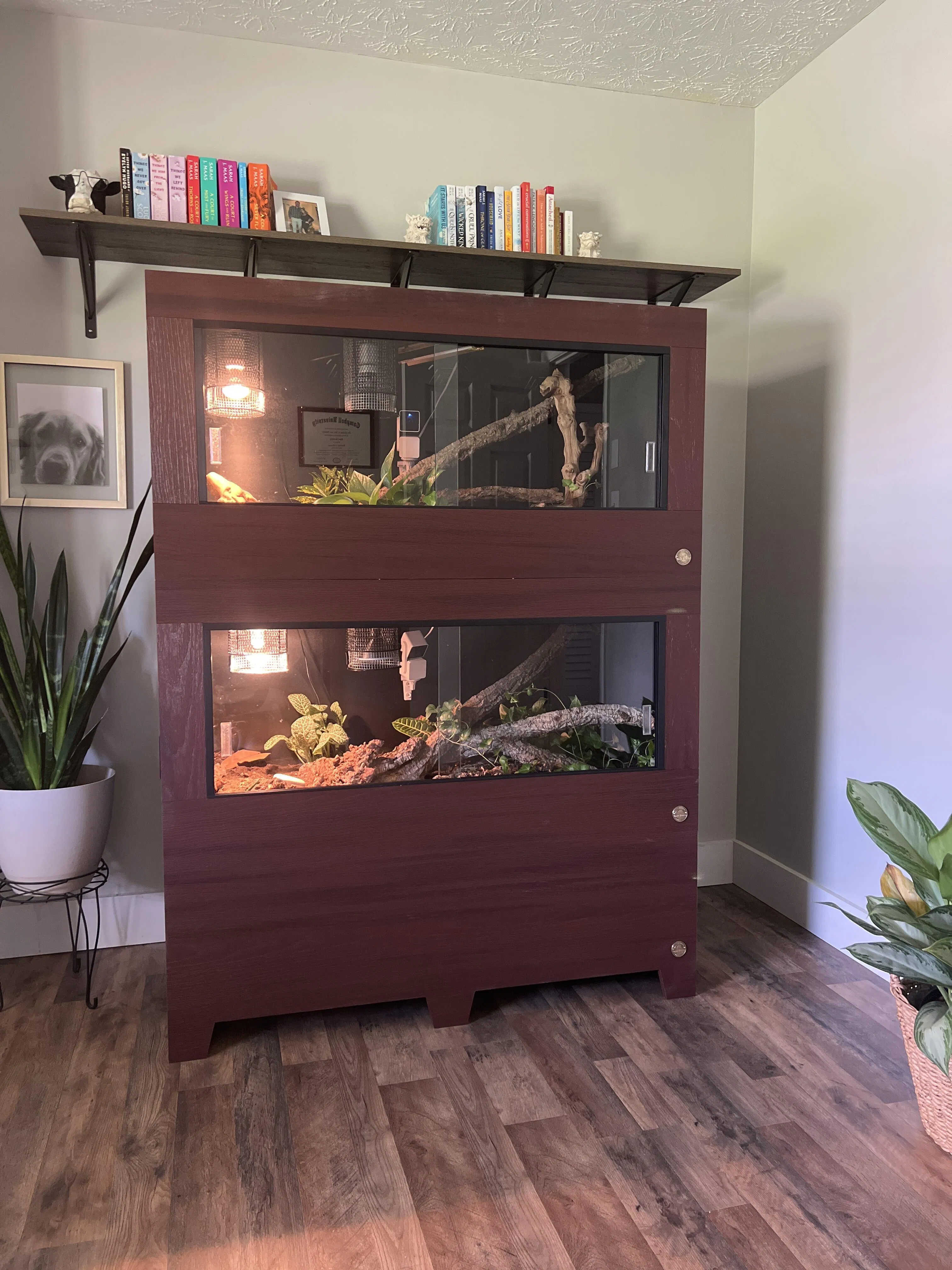 Reptile Cage Pedestal Stands – Toad Ranch