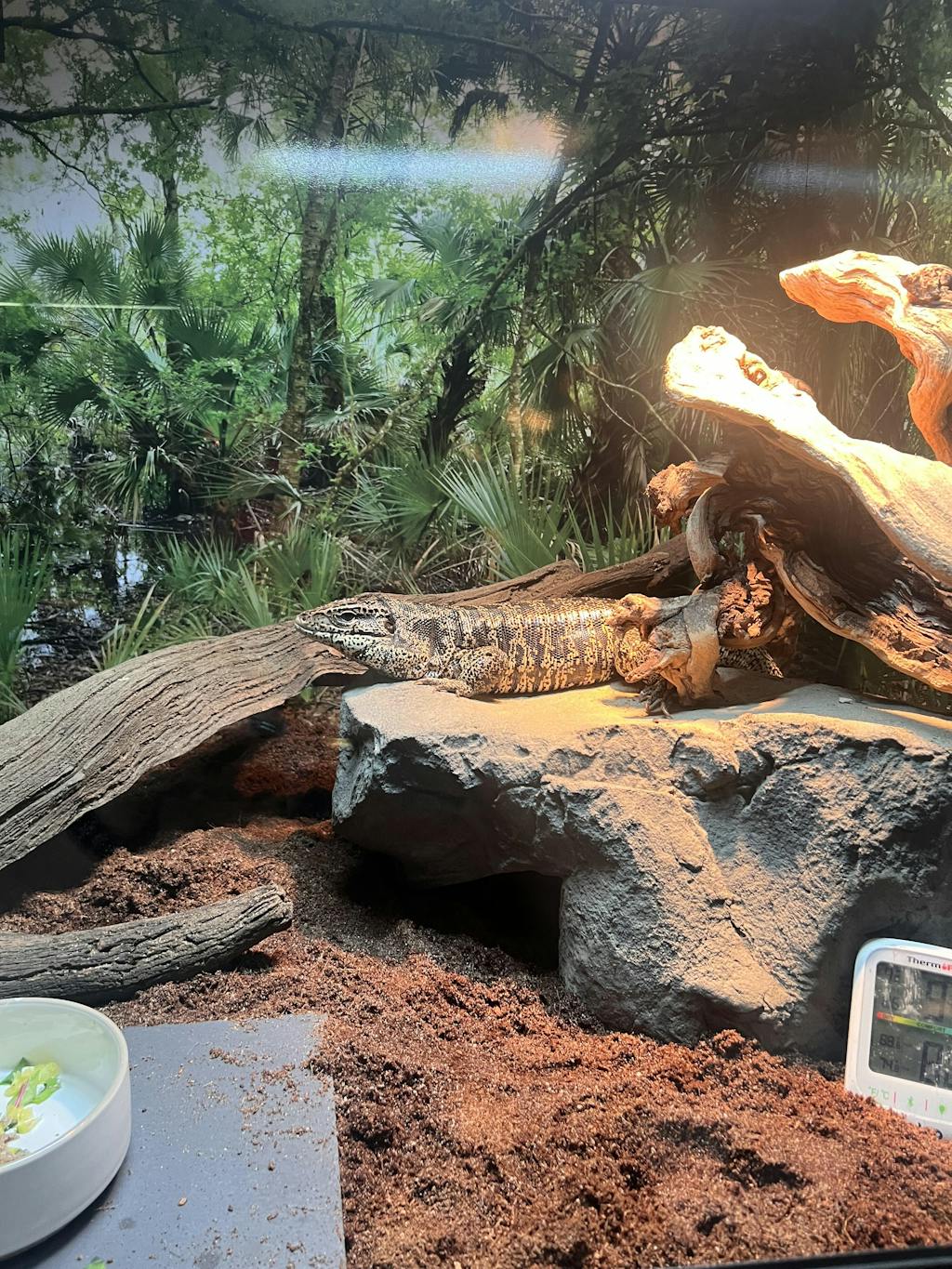 Quality Reptile Enclosures | Luxury Reptile Habitats by Toad Ranch