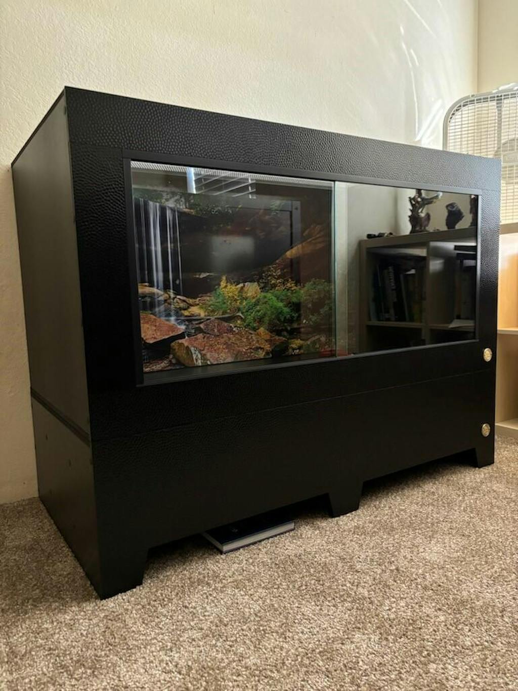 Quality Reptile Enclosures | Luxury Reptile Habitats by Toad Ranch
