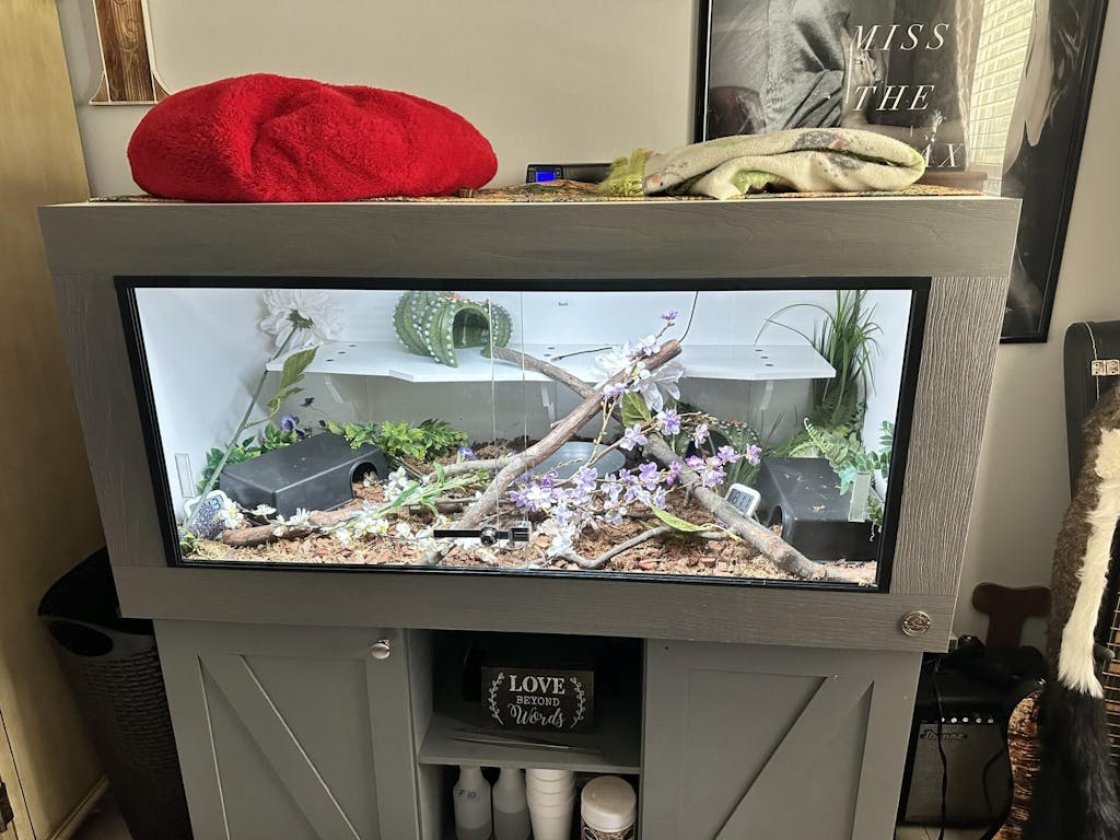 Quality Reptile Enclosures | Luxury Reptile Habitats by Toad Ranch