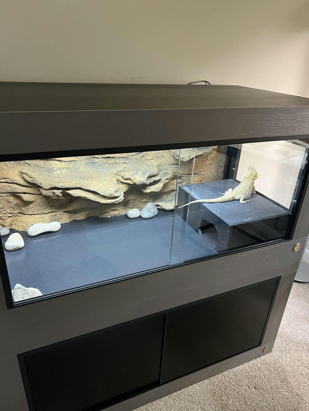 Quality Reptile Enclosures | Luxury Reptile Habitats by Toad Ranch