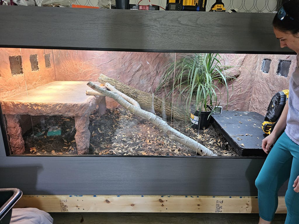 Quality Reptile Enclosures | Luxury Reptile Habitats by Toad Ranch