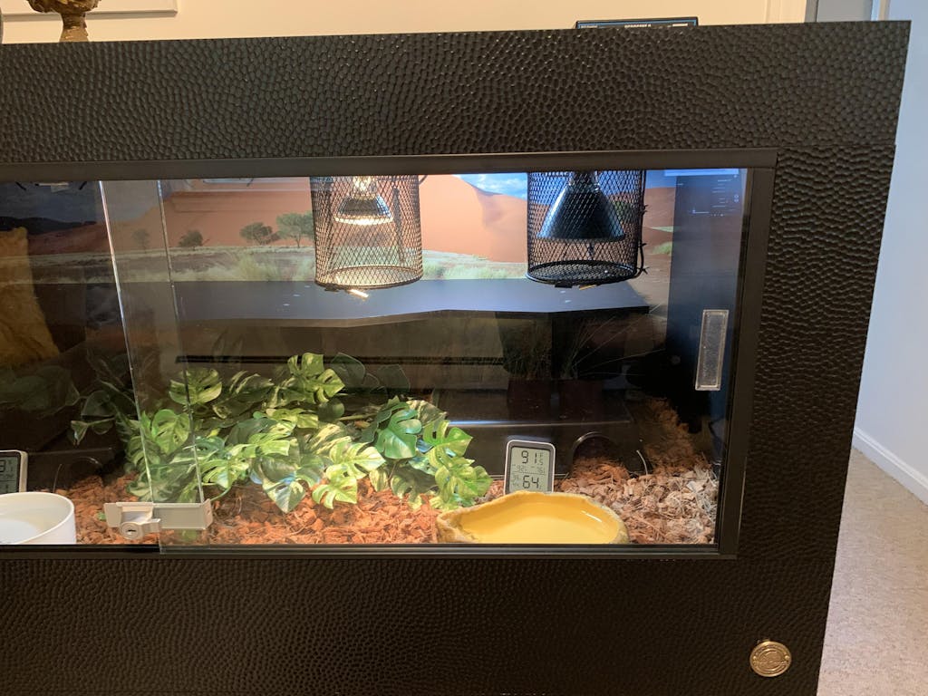 Quality Reptile Enclosures | Luxury Reptile Habitats by Toad Ranch