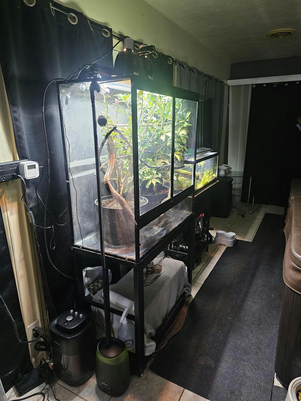 Quality Reptile Enclosures | Luxury Reptile Habitats by Toad Ranch