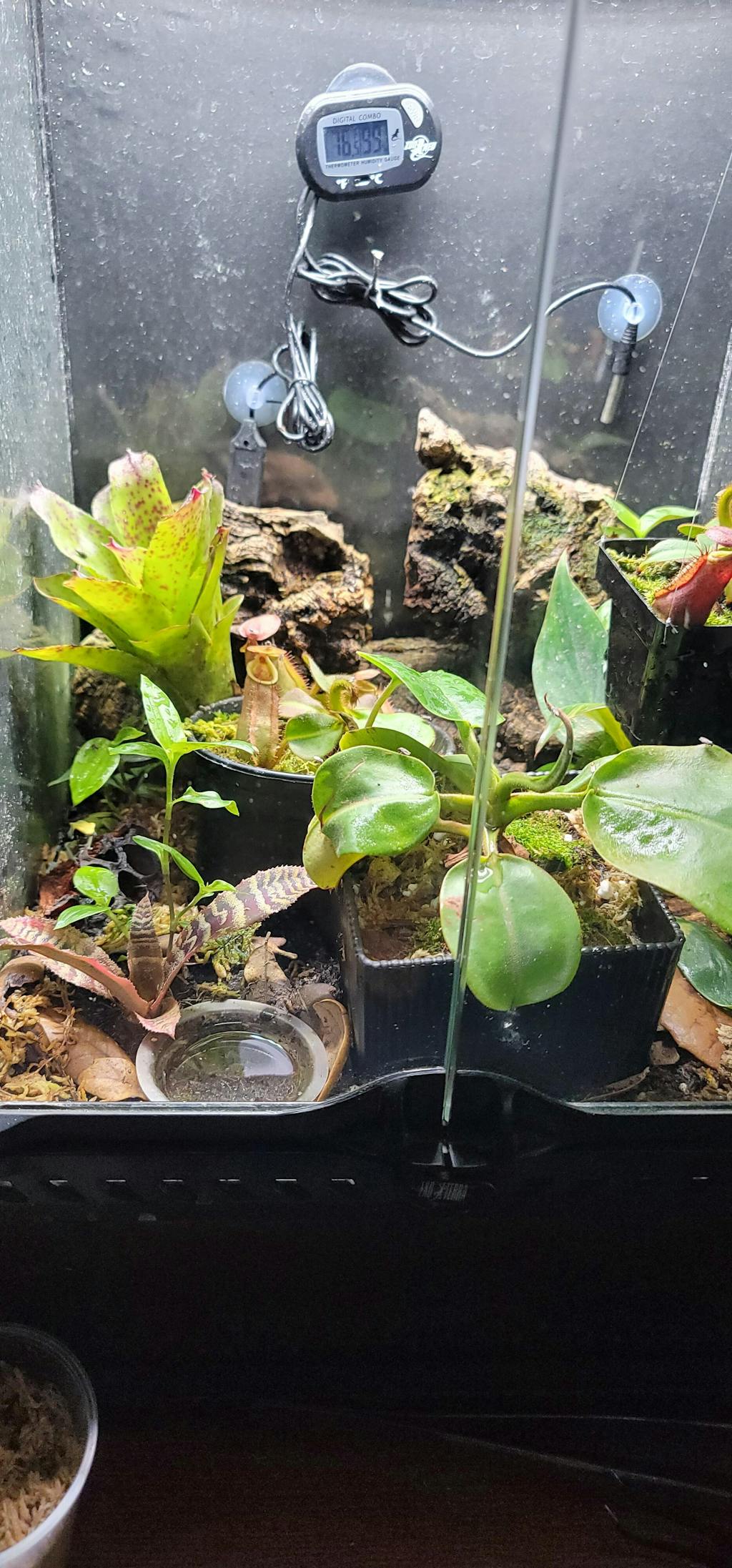 Quality Reptile Enclosures | Luxury Reptile Habitats by Toad Ranch