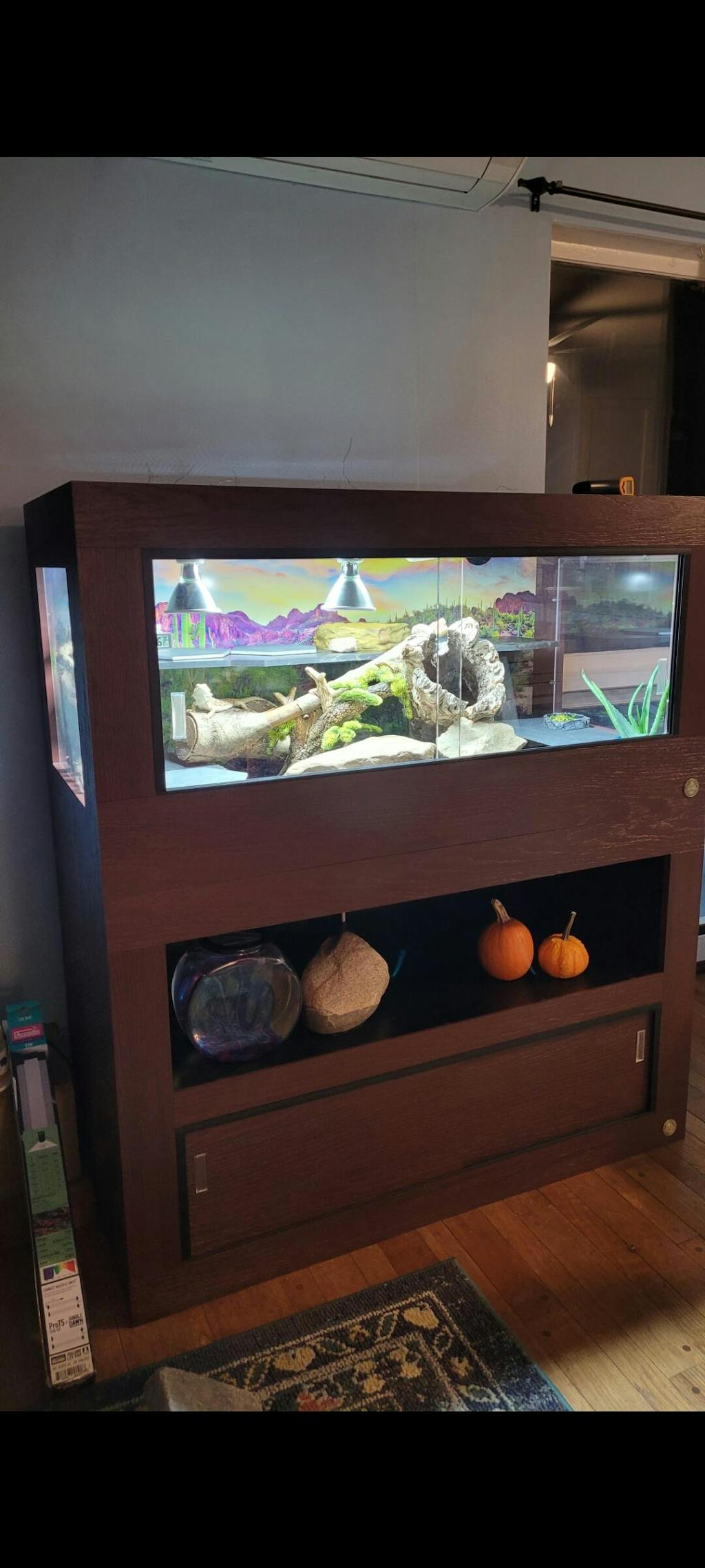Quality Reptile Enclosures | Luxury Reptile Habitats by Toad Ranch