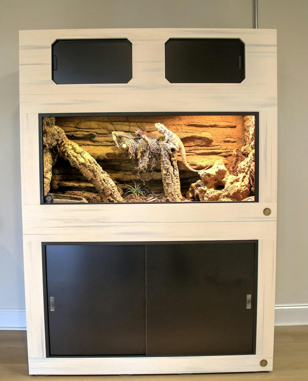 Quality Reptile Enclosures | Luxury Reptile Habitats by Toad Ranch