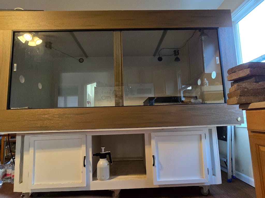 Collections – Toad Ranch