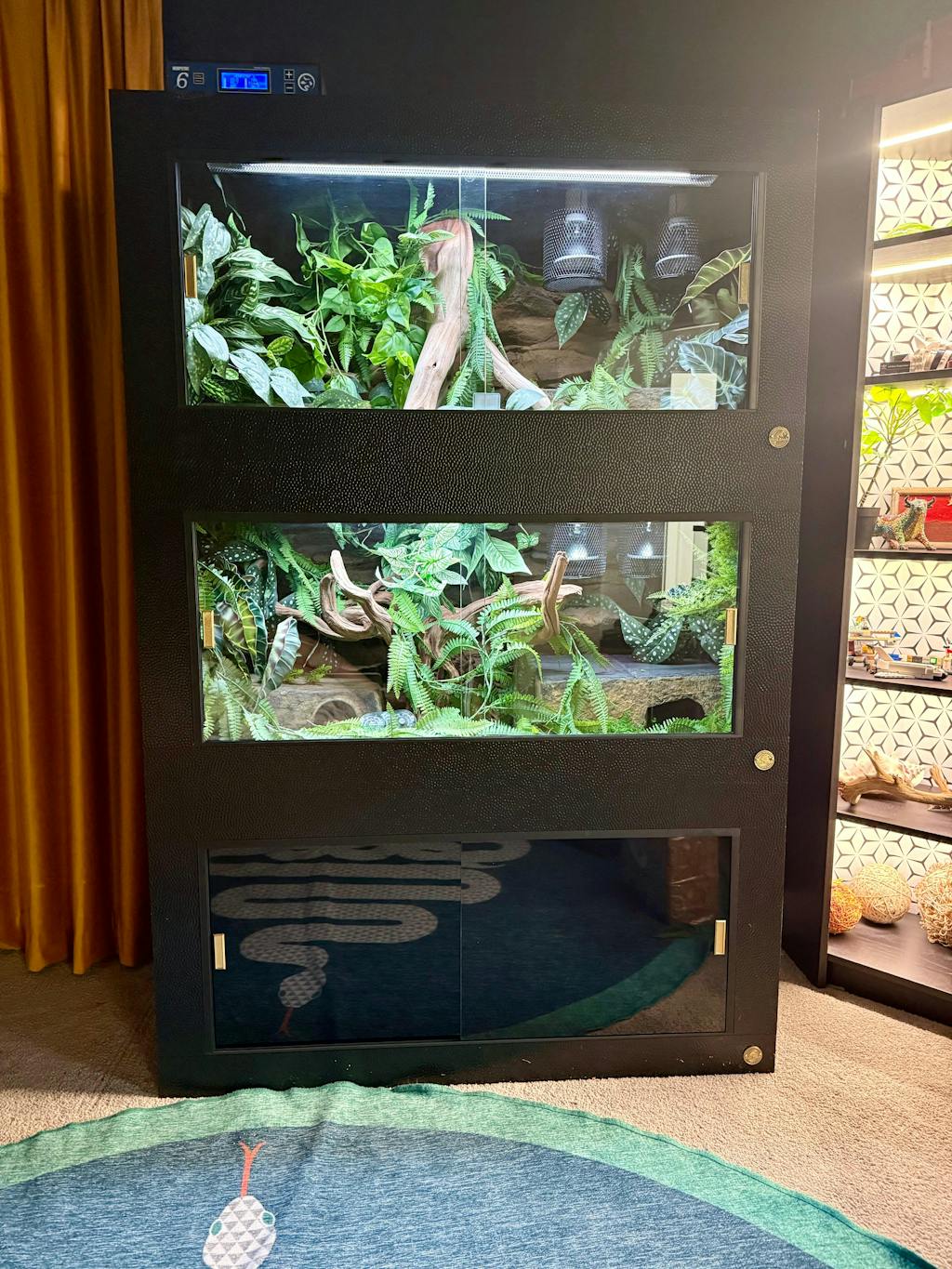 Quality Reptile Enclosures | Luxury Reptile Habitats by Toad Ranch