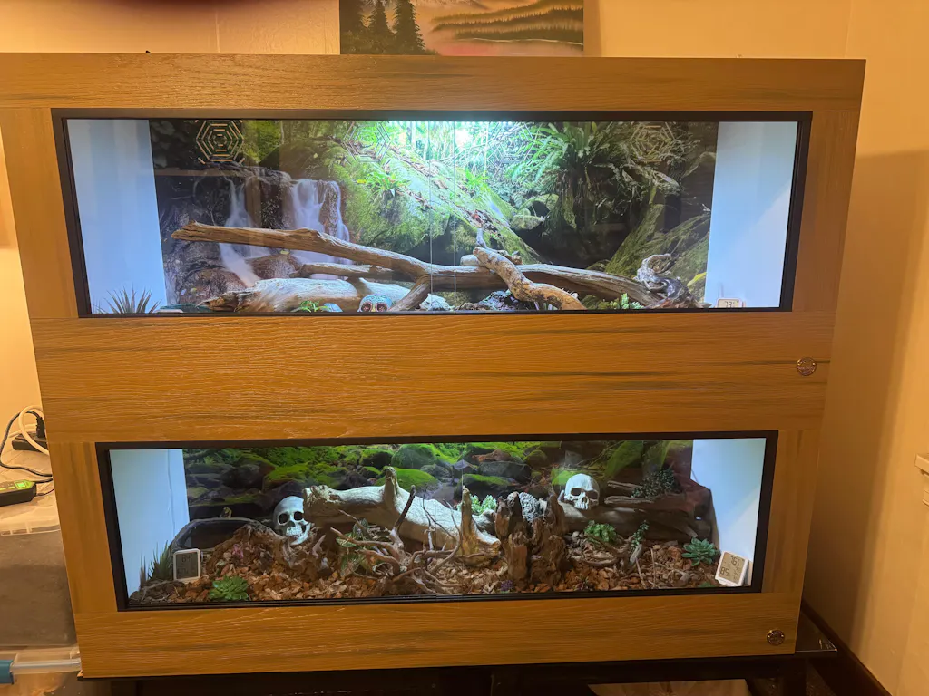 Quality Reptile Enclosures | Luxury Reptile Habitats by Toad Ranch