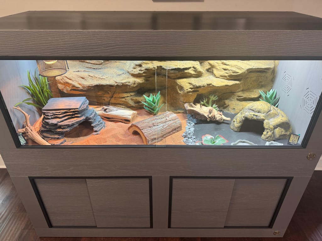 Quality Reptile Enclosures | Luxury Reptile Habitats by Toad Ranch