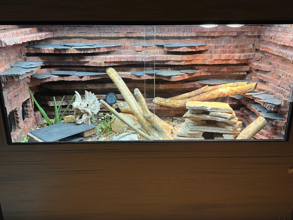 Quality Reptile Enclosures | Luxury Reptile Habitats by Toad Ranch