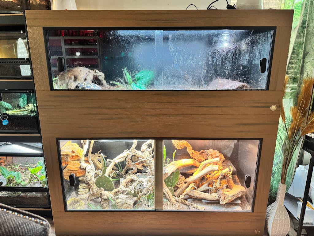 Collections – Toad Ranch