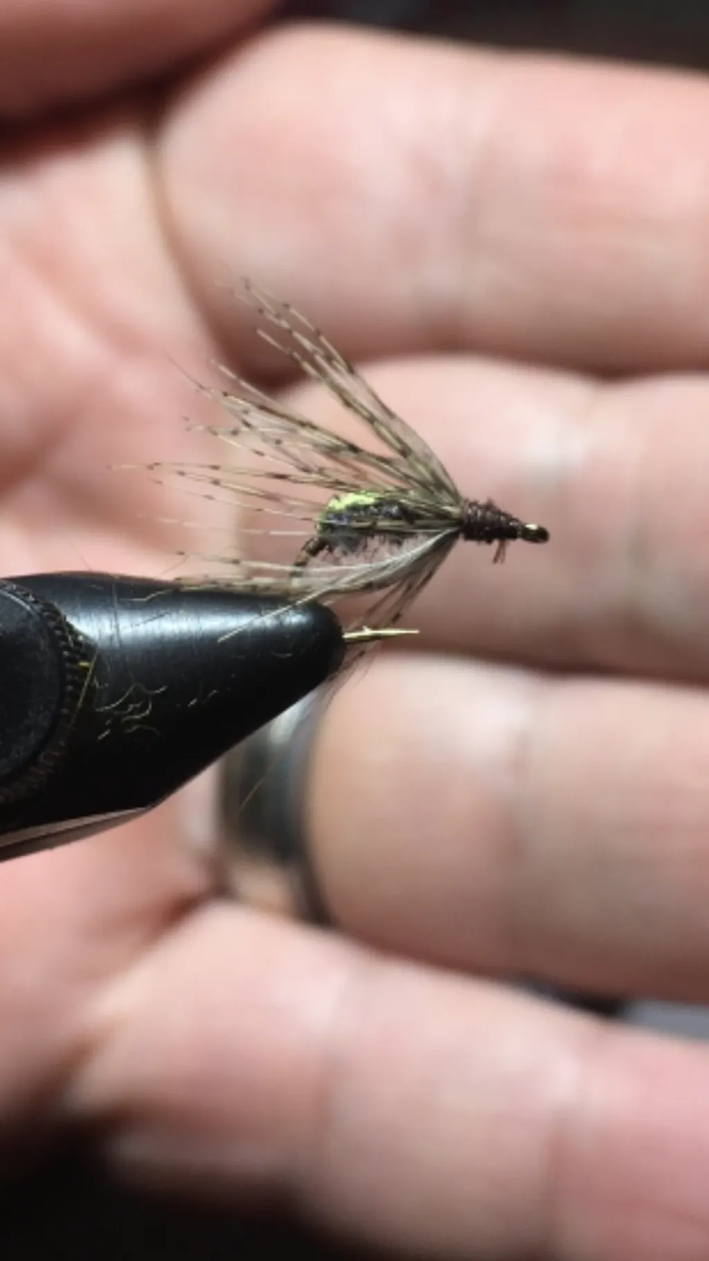 Premium Partridge Feathers – Togens Fly Shop