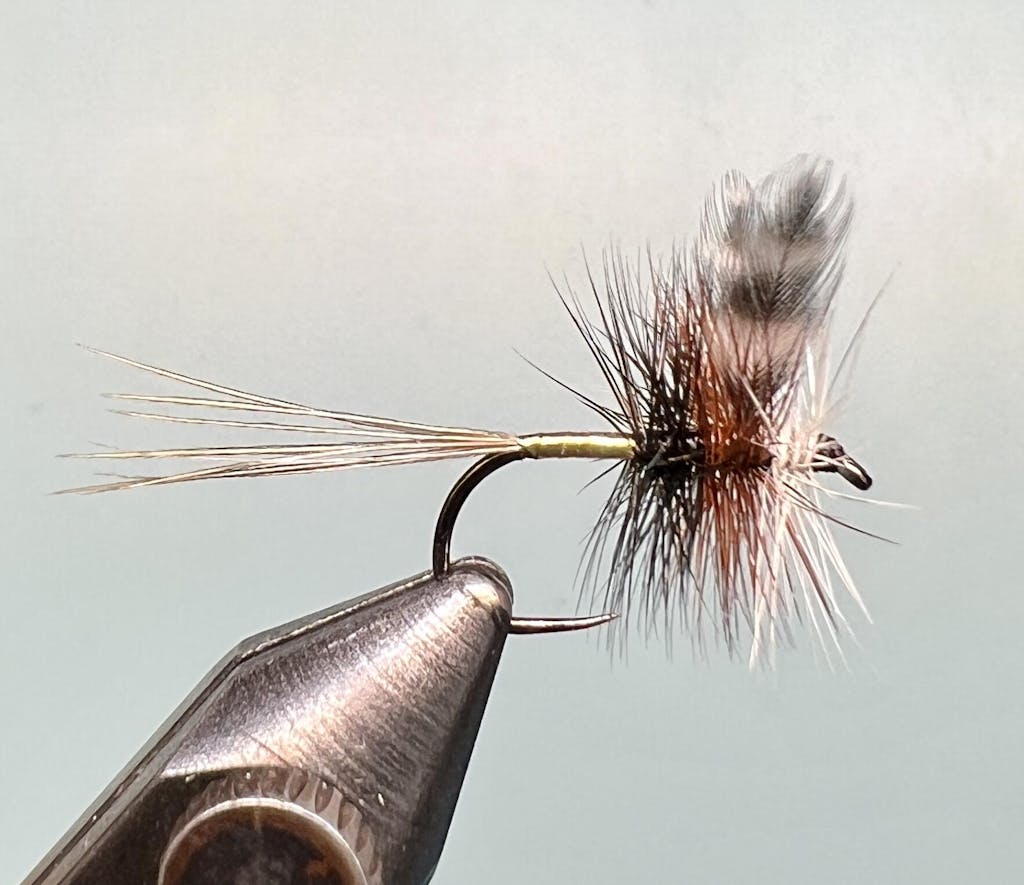Togens Dry Fly Barbless – Togens Fly Shop