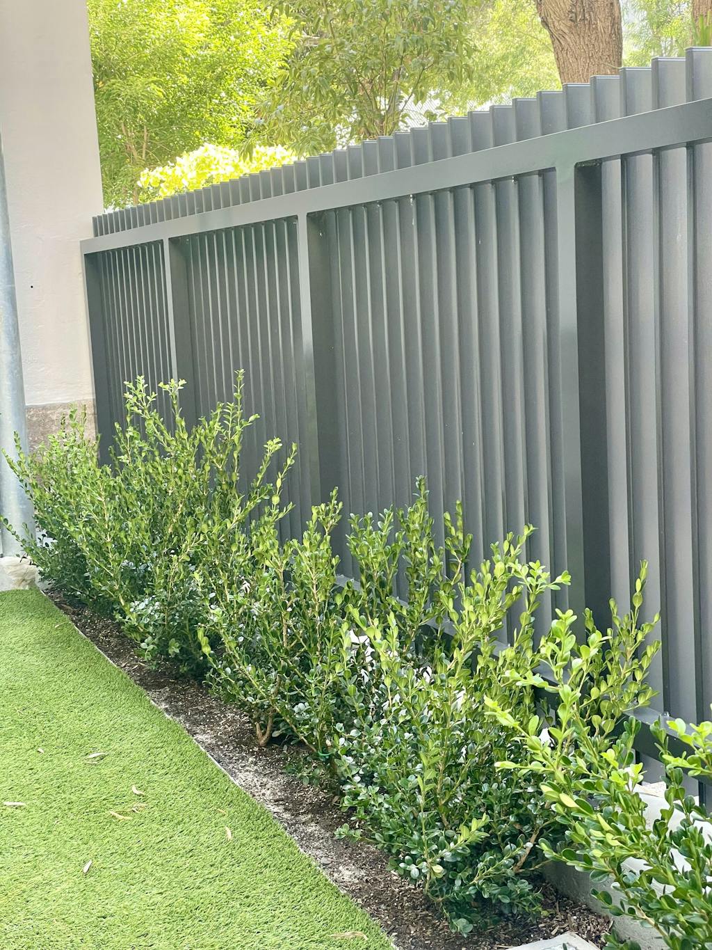 TOPBUXUS GROW 500G – topbuxus au