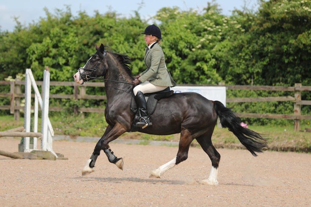 TCS Premium Saddle Seat for your Total Contact Saddle – Total Contact ...