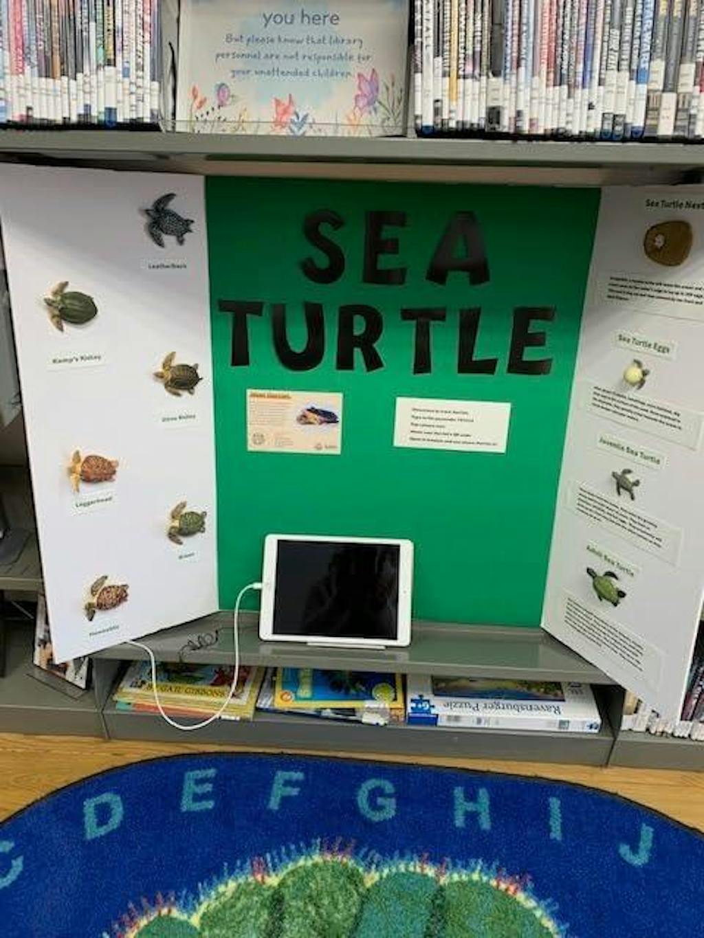 Toymany 6PCS Sea Turtle Figurines Playset | Animal Figurine Toy