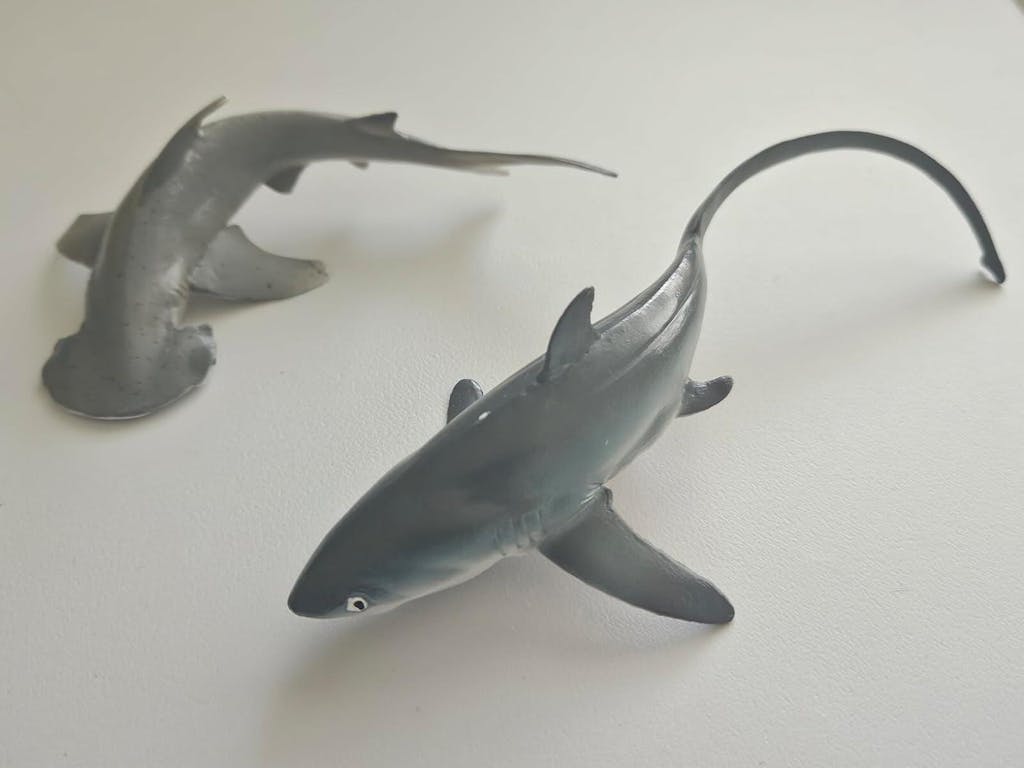 Toymany 8PCS Shark Figurines Playset | Animal Figurine Toy