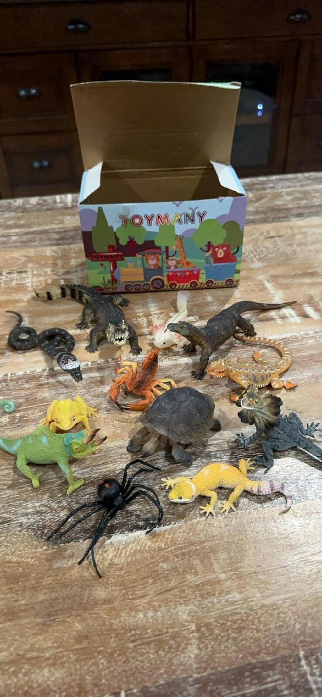 Toymany 12 Pieces Reptile Figurines Playset | Animal Figurine Toy