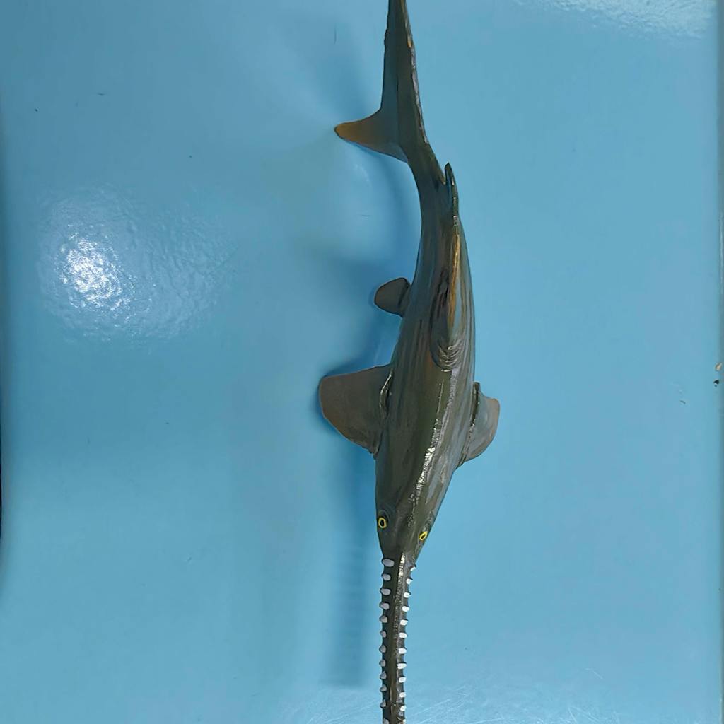 Toymany Sawfish Figurine | Realistic Animal Figurine Toy
