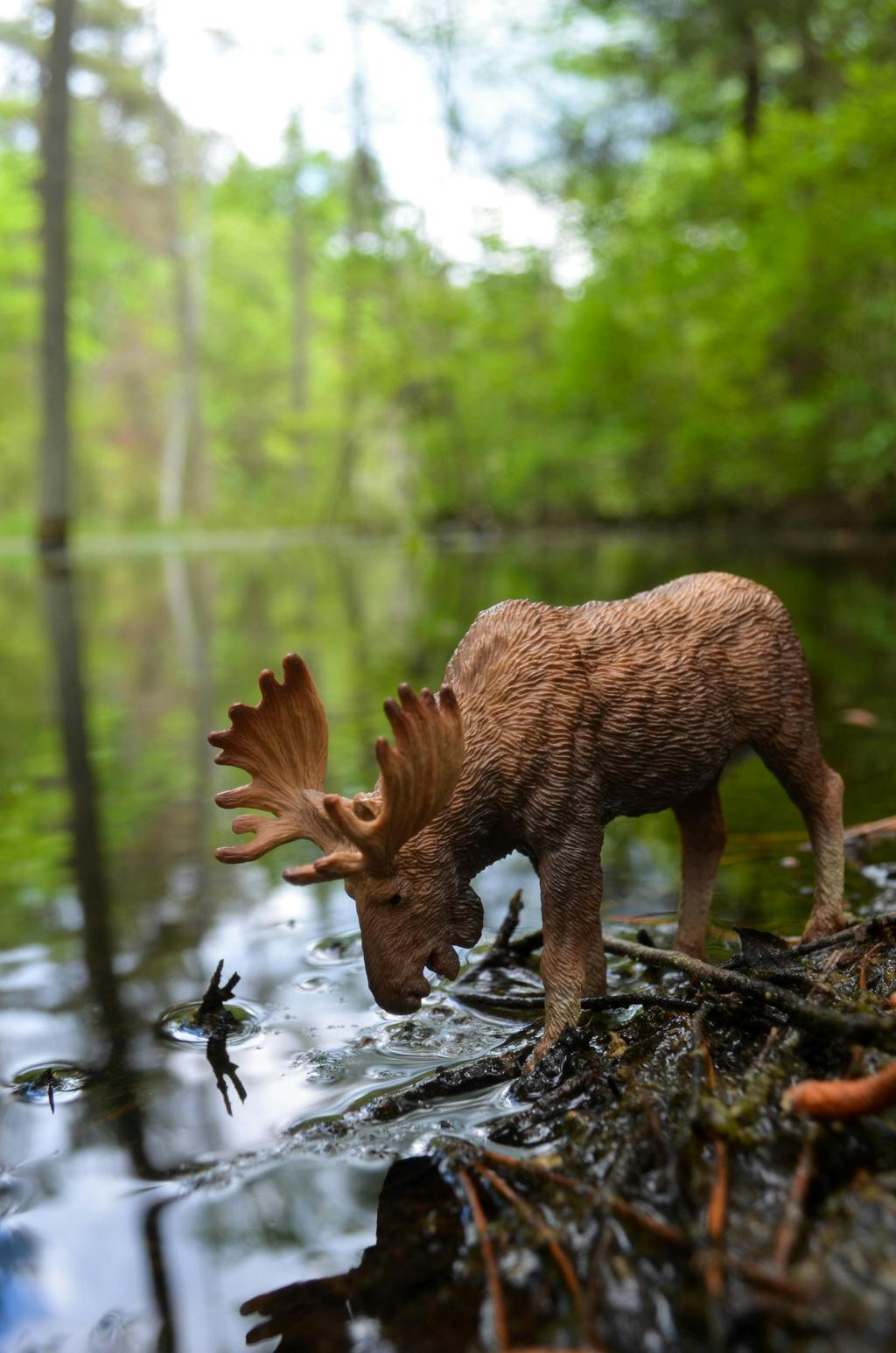 Toymany Moose Figurine | Realistic Animal Figurine Toy