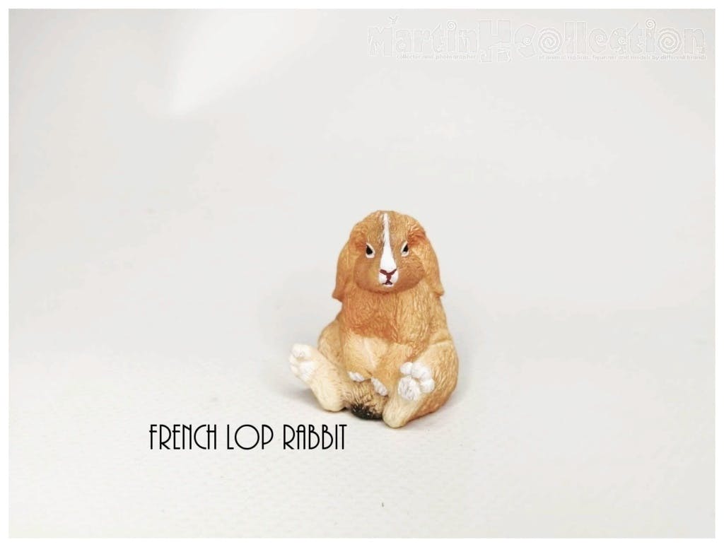 Toymany 12PCS Rabbit Animal Figurines Playset | Animal Figurine Toy