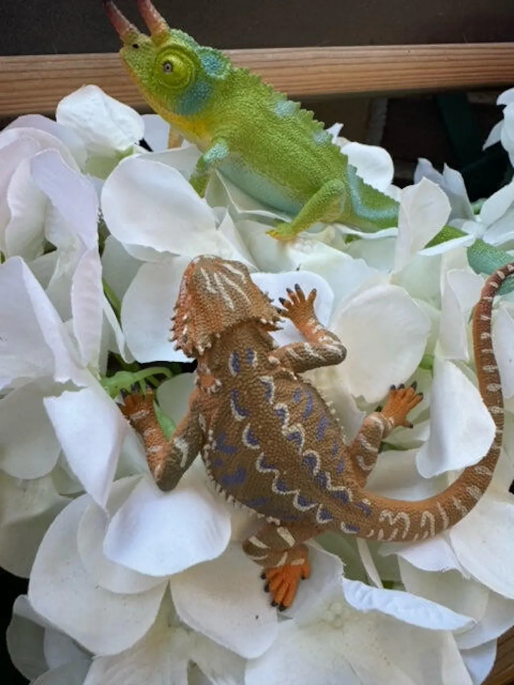 Toymany Bearded Dragon Figurine | Realistic Animal Figurine Toy