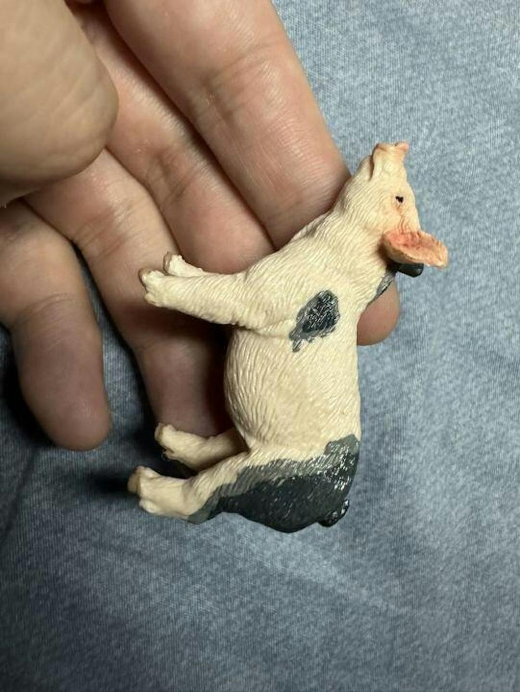 Toymany Pietrain Piglet Figurine | Realistic Animal Figurine Toy