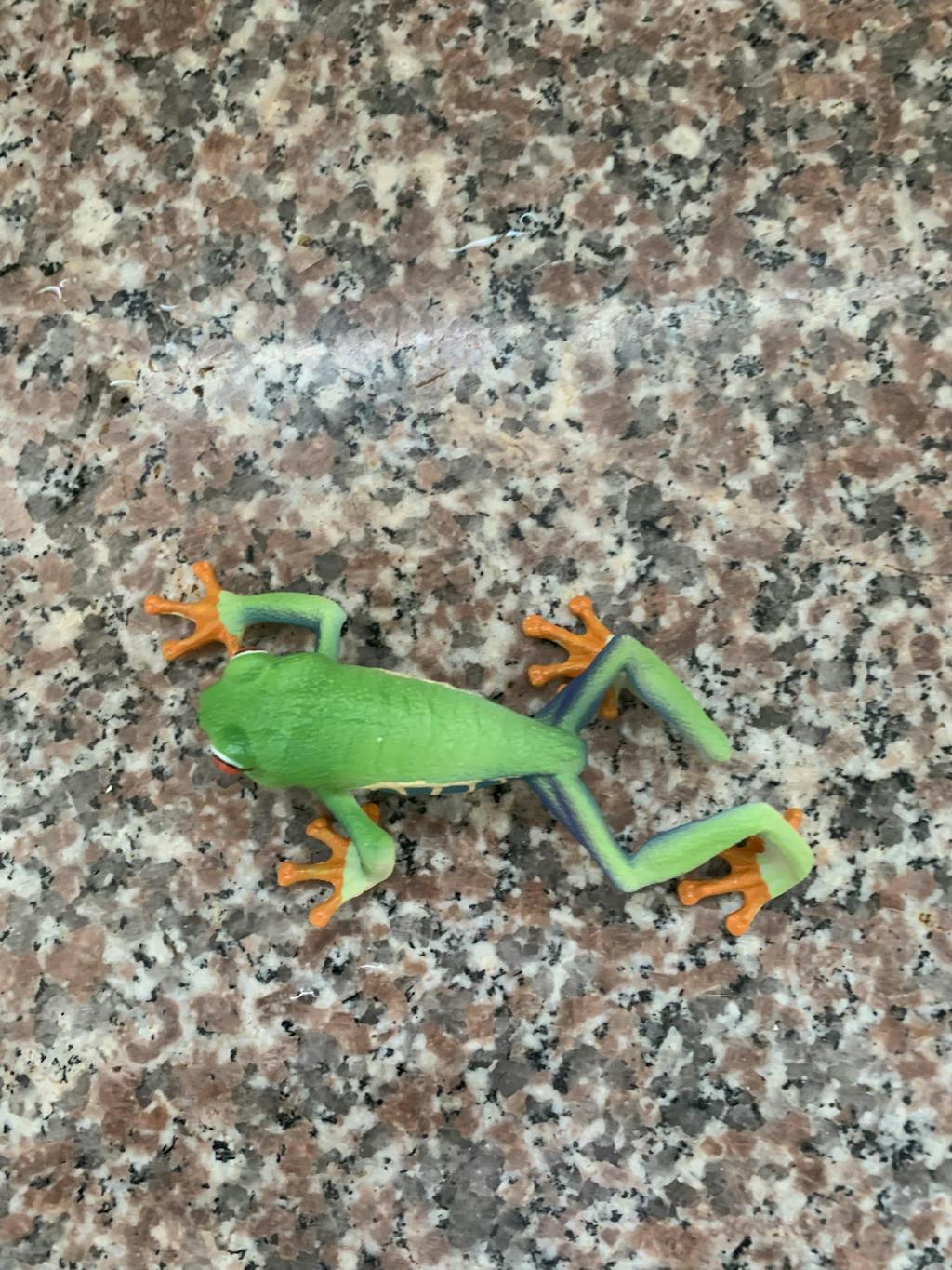 Toymany Wildlife Treasures - Exquisite Wildlife Animal Figurines