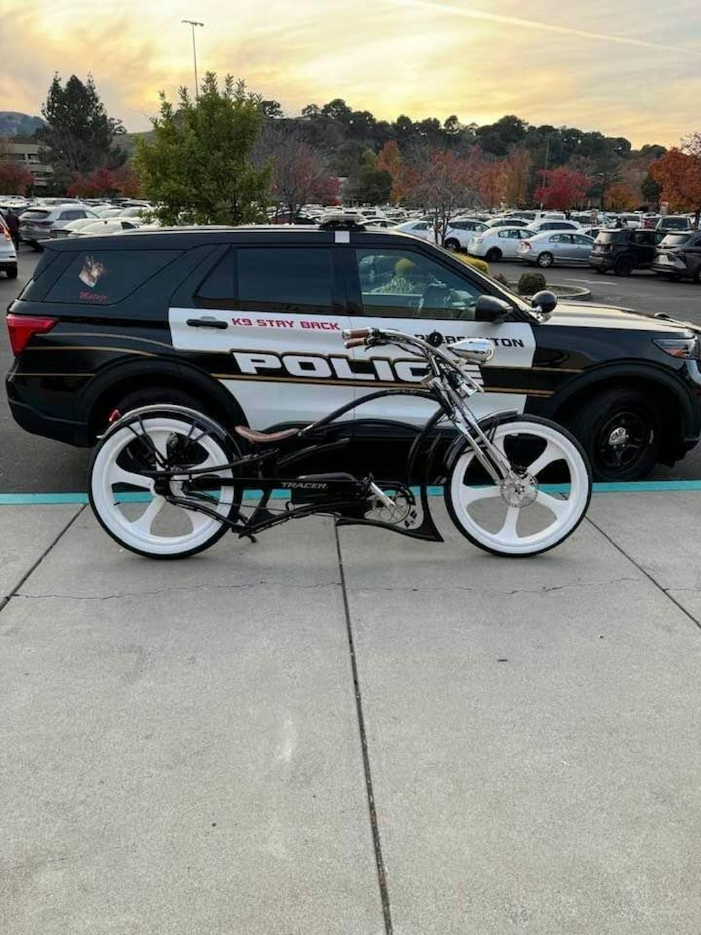 Raptor Pro DS 800W Stretch Cruiser Ebike - Tracer Bikes