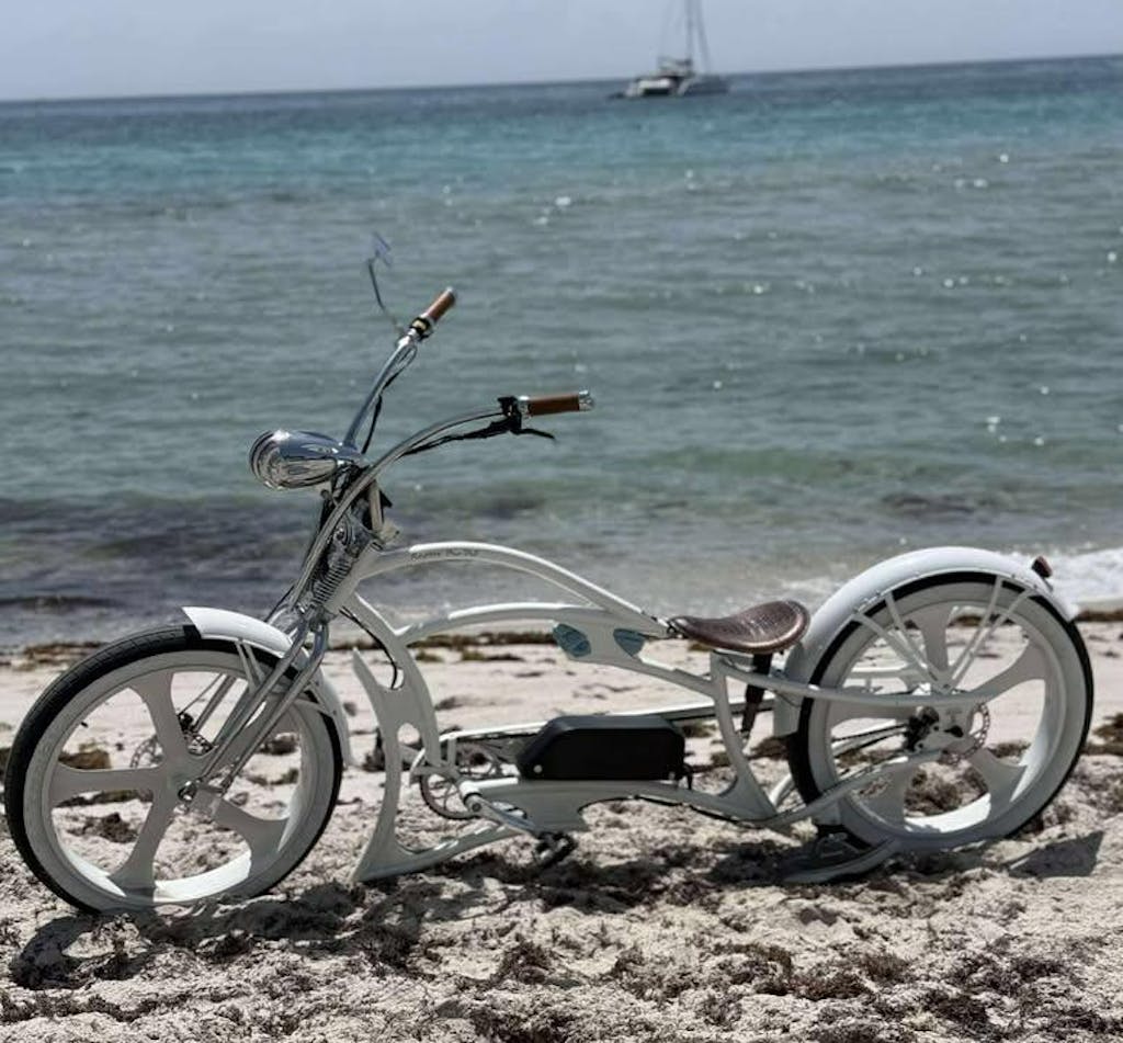 Raptor Pro DS 800W Stretch Cruiser Ebike - Tracer Bikes