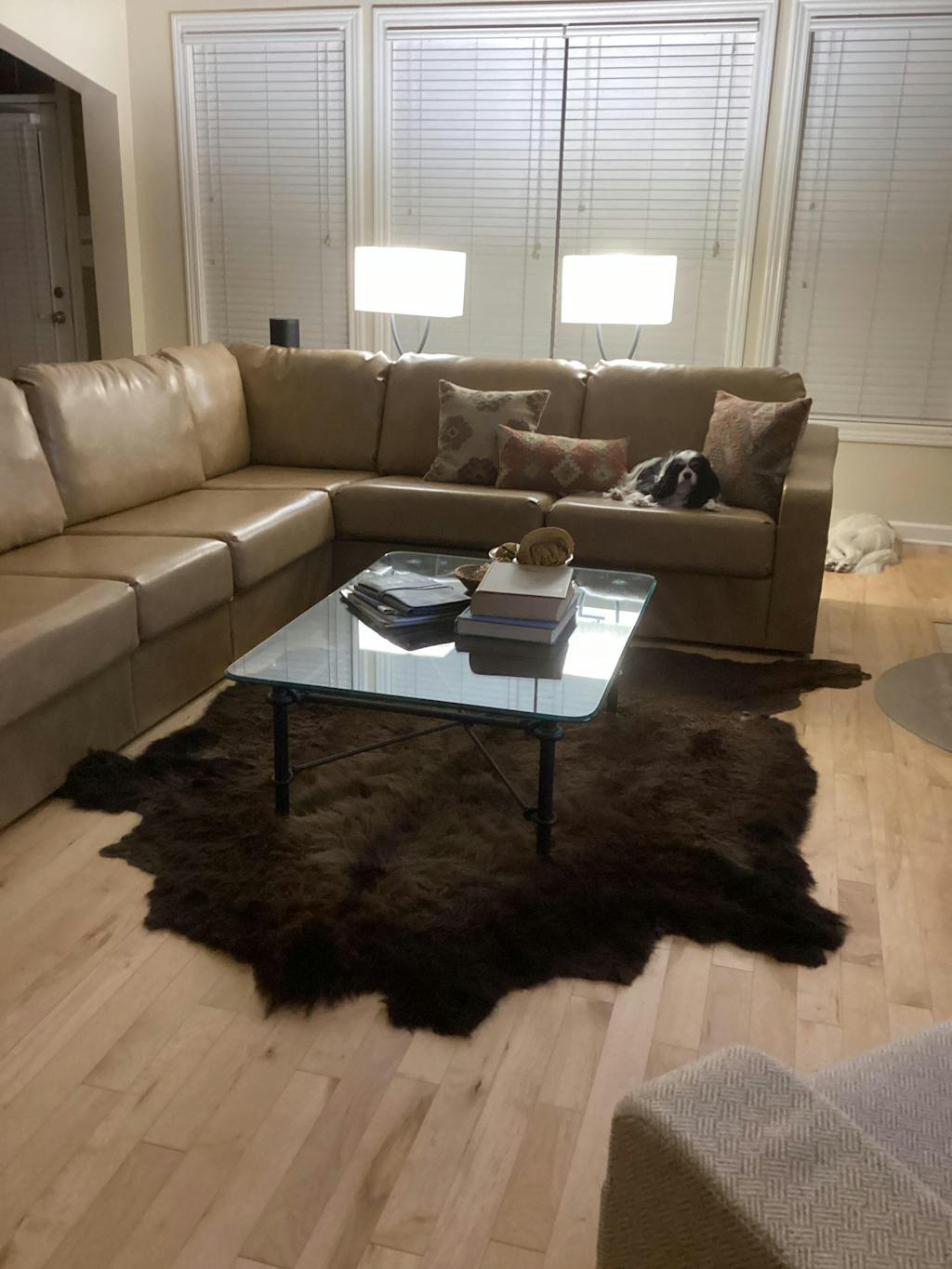 Buffalo Hides, Robes & Rugs - Natural