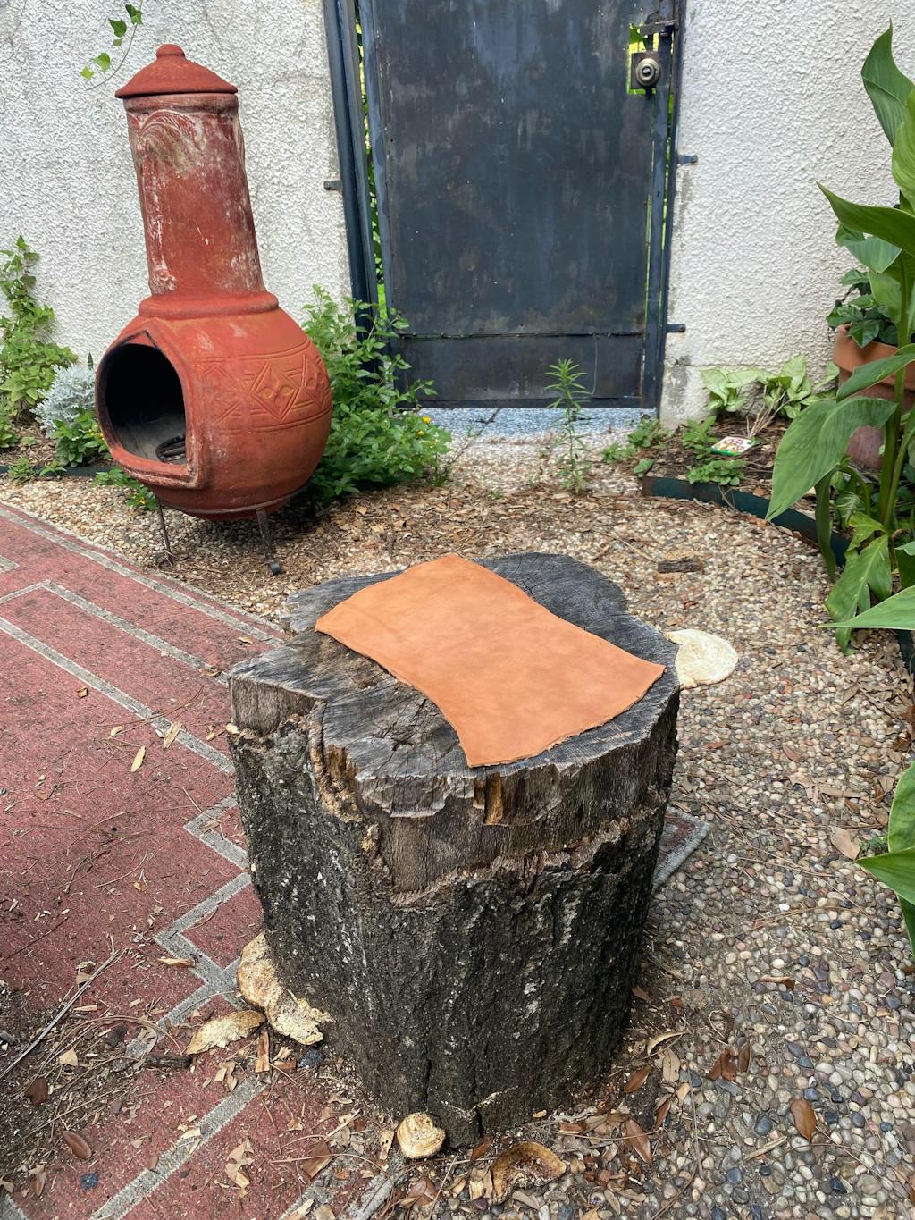 Basics of Bark Tan - Zoom Class - Traditional Tanners