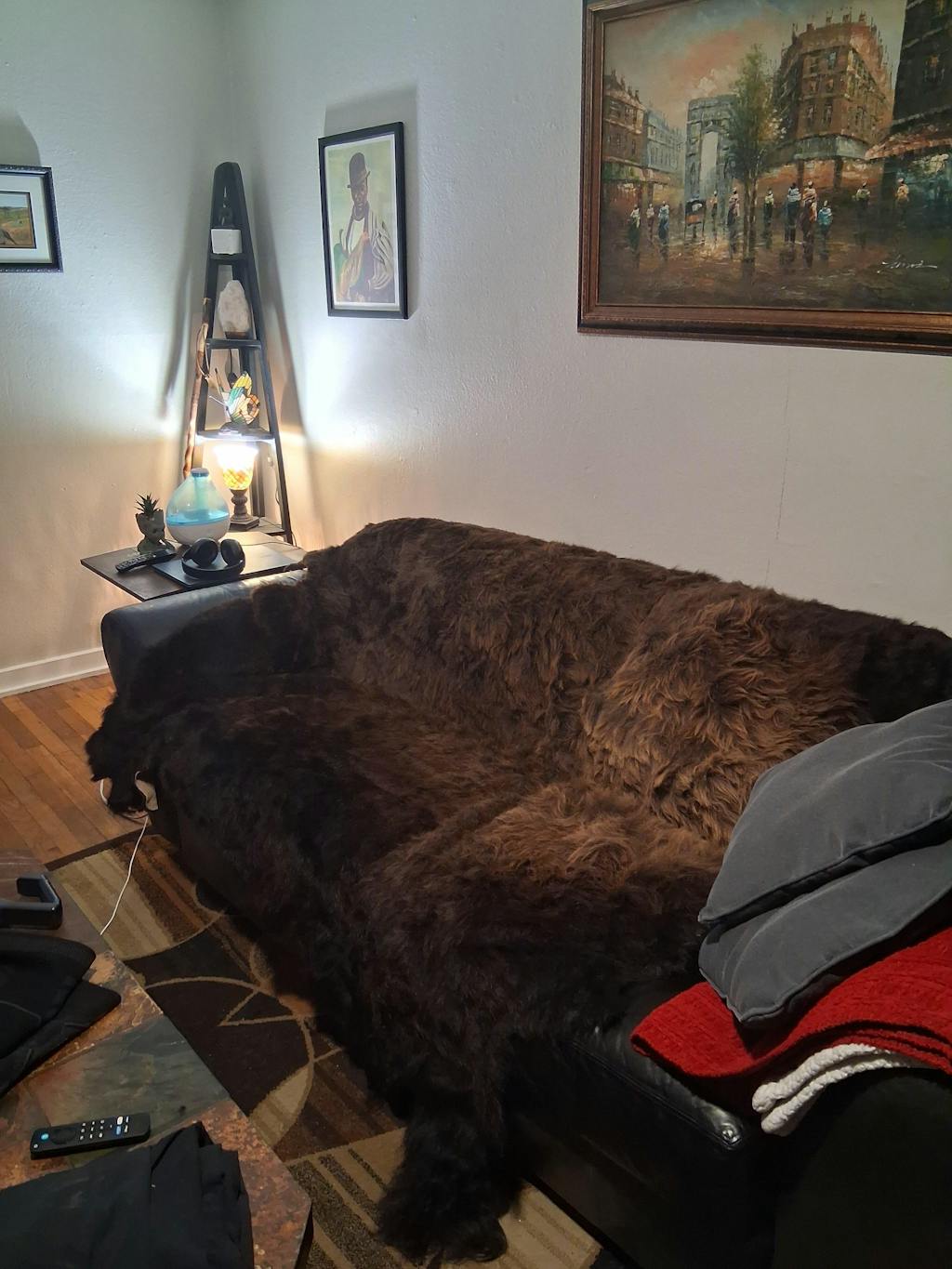 Buffalo Hides, Robes & Rugs - Natural
