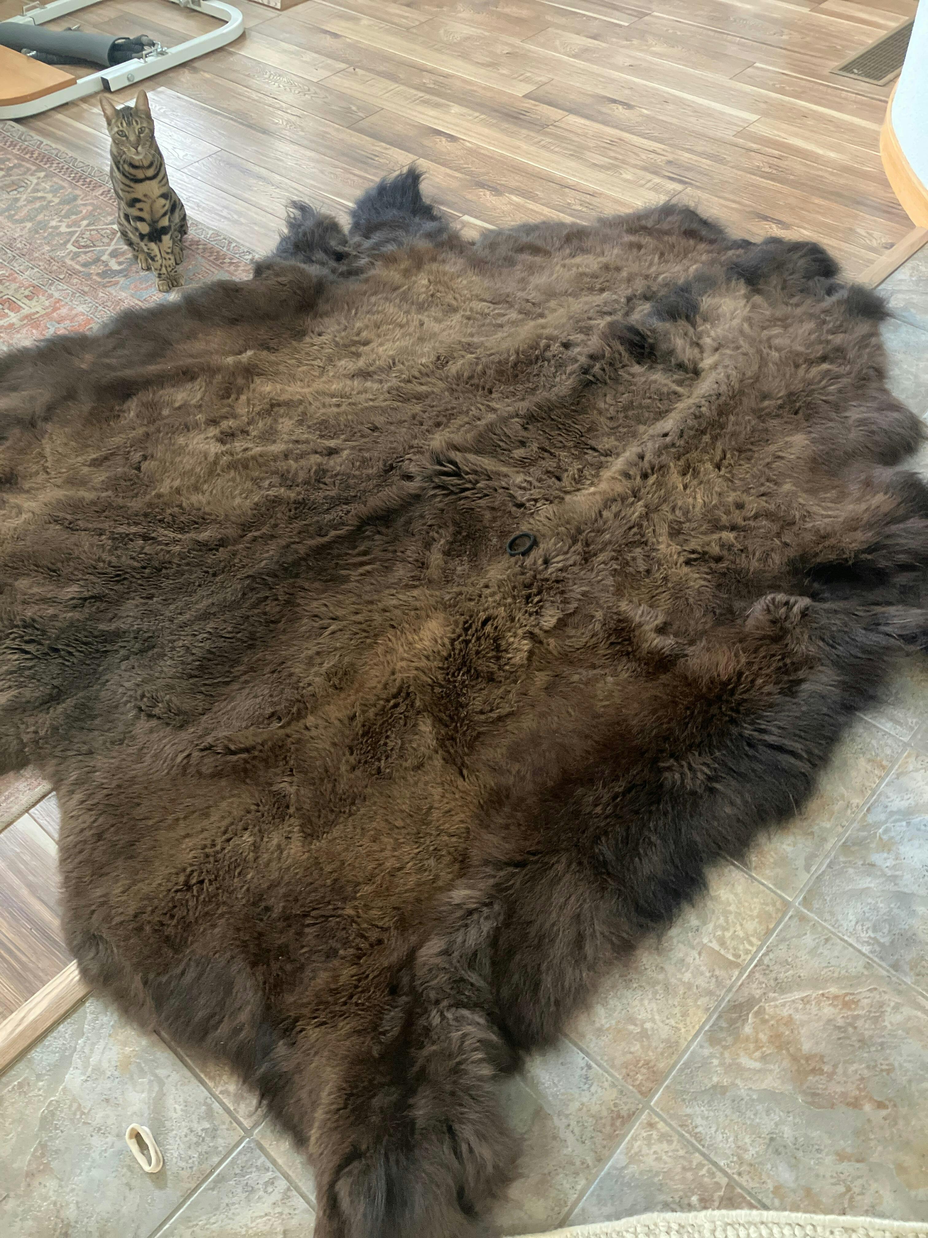 Buffalo Hides, Robes & Rugs - Natural