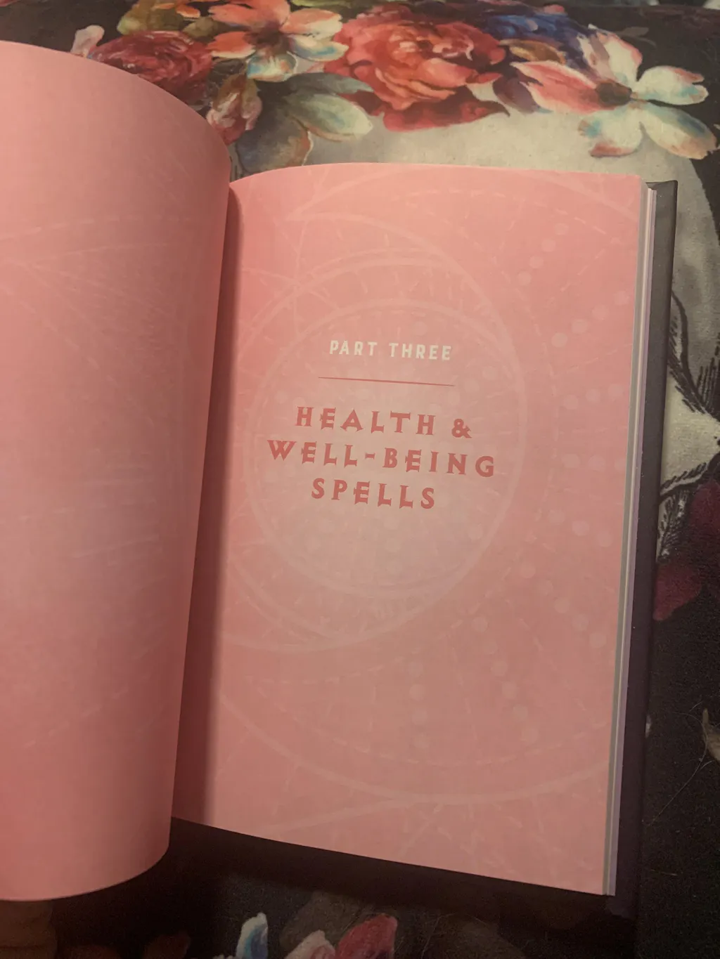 Wicca Book of Spells by Lisa Chamberlain