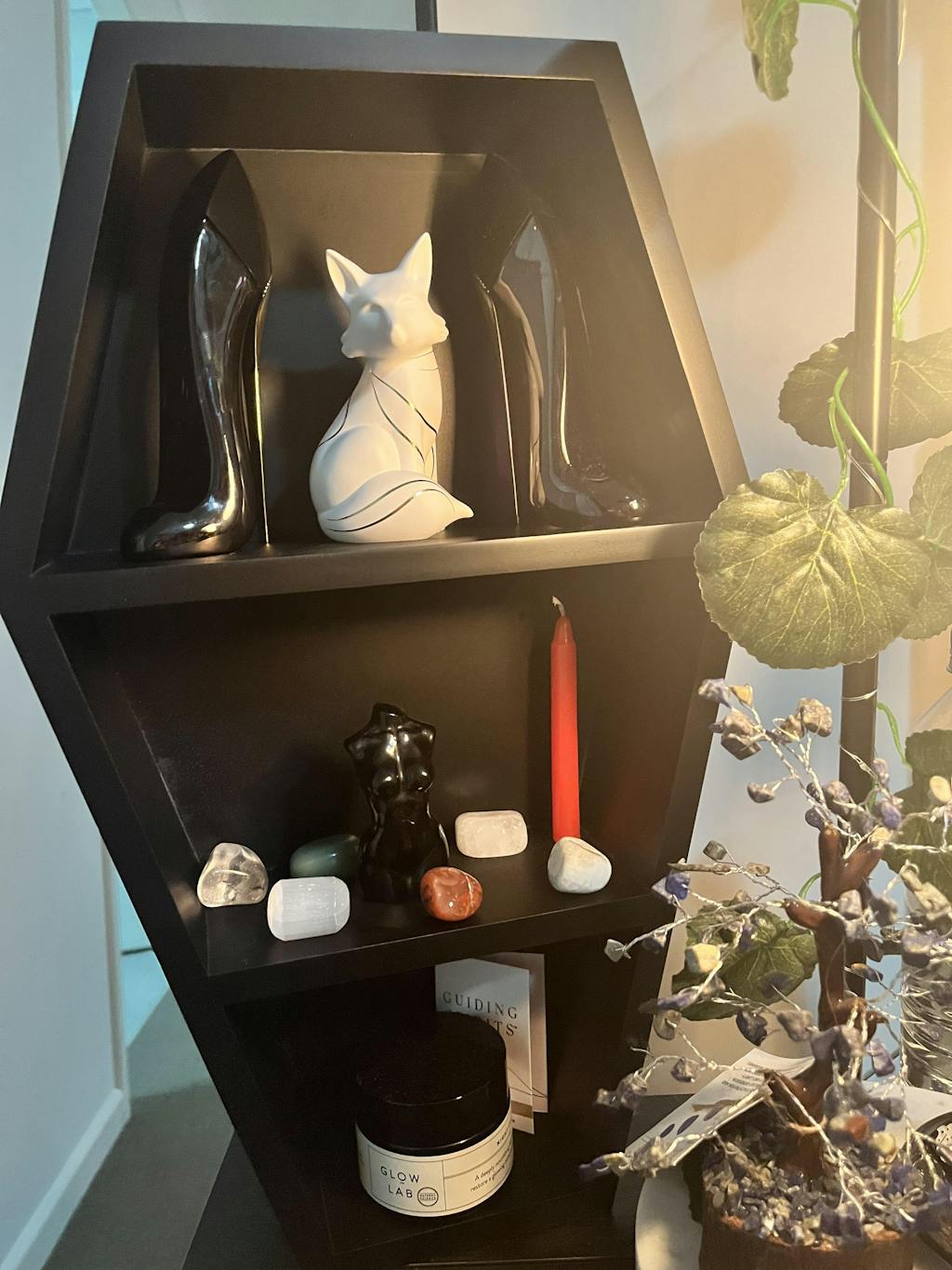 Coffin Makeup & Skincare Shelf