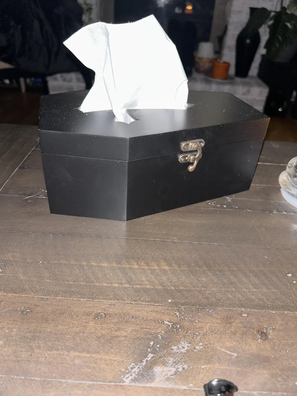 Pandora Coffin Tissue Box | Shop Gothic Homewares Australia