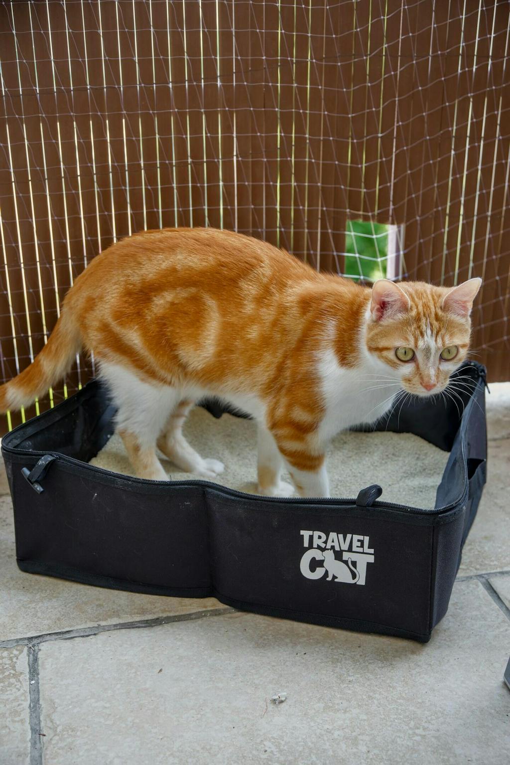 "The Porta-Pawty" Travel Litter Box - Portable Bathroom for Cats
