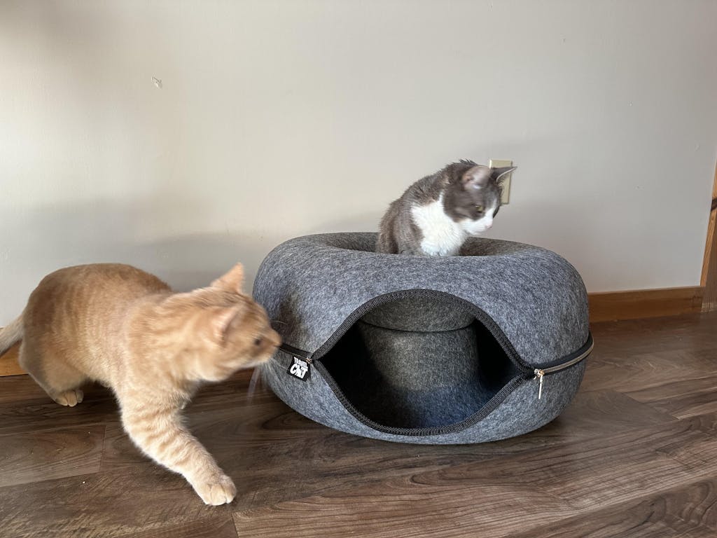 "Donut!" Cat Hideaway Cave