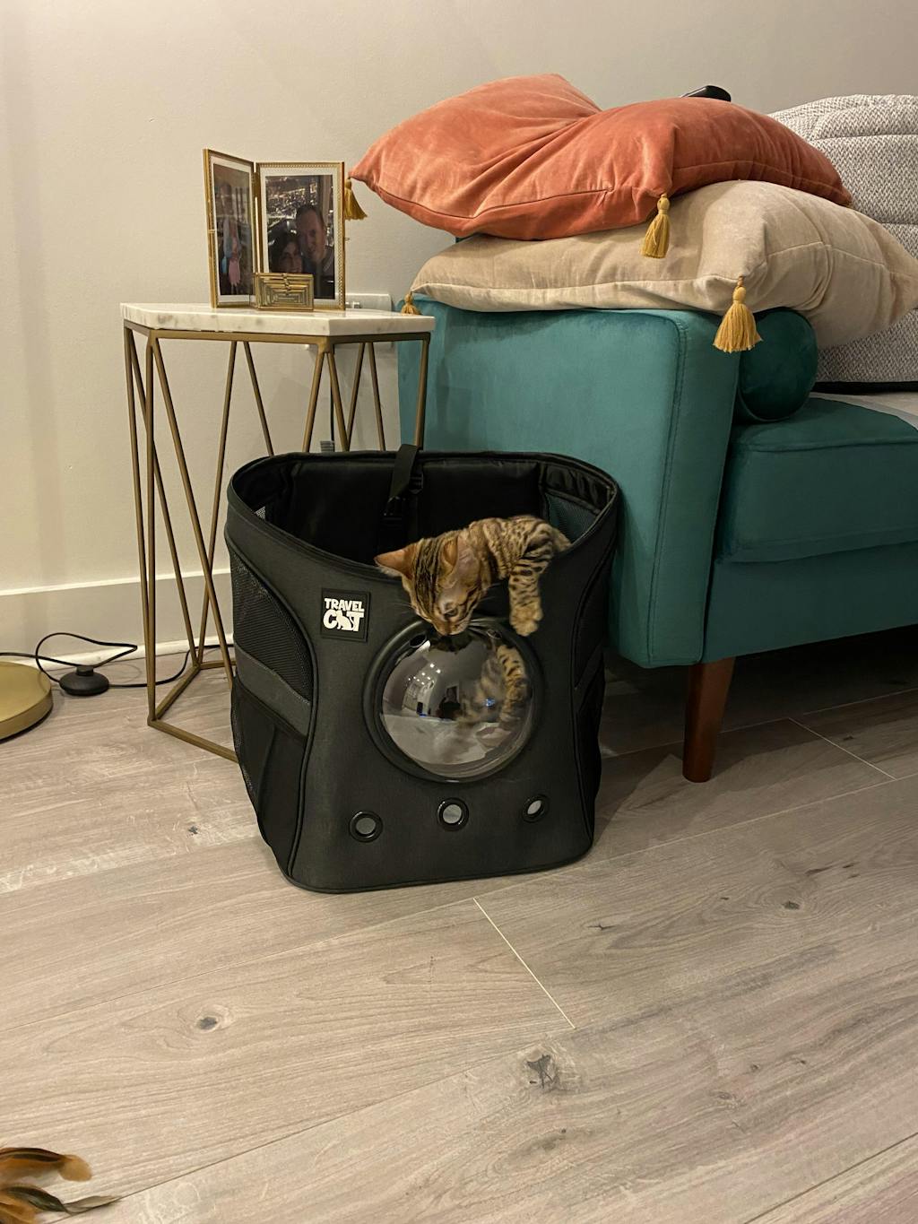 "The Fat Cat" Cat Backpack - For Larger Cats - Bubble Cat Carrier