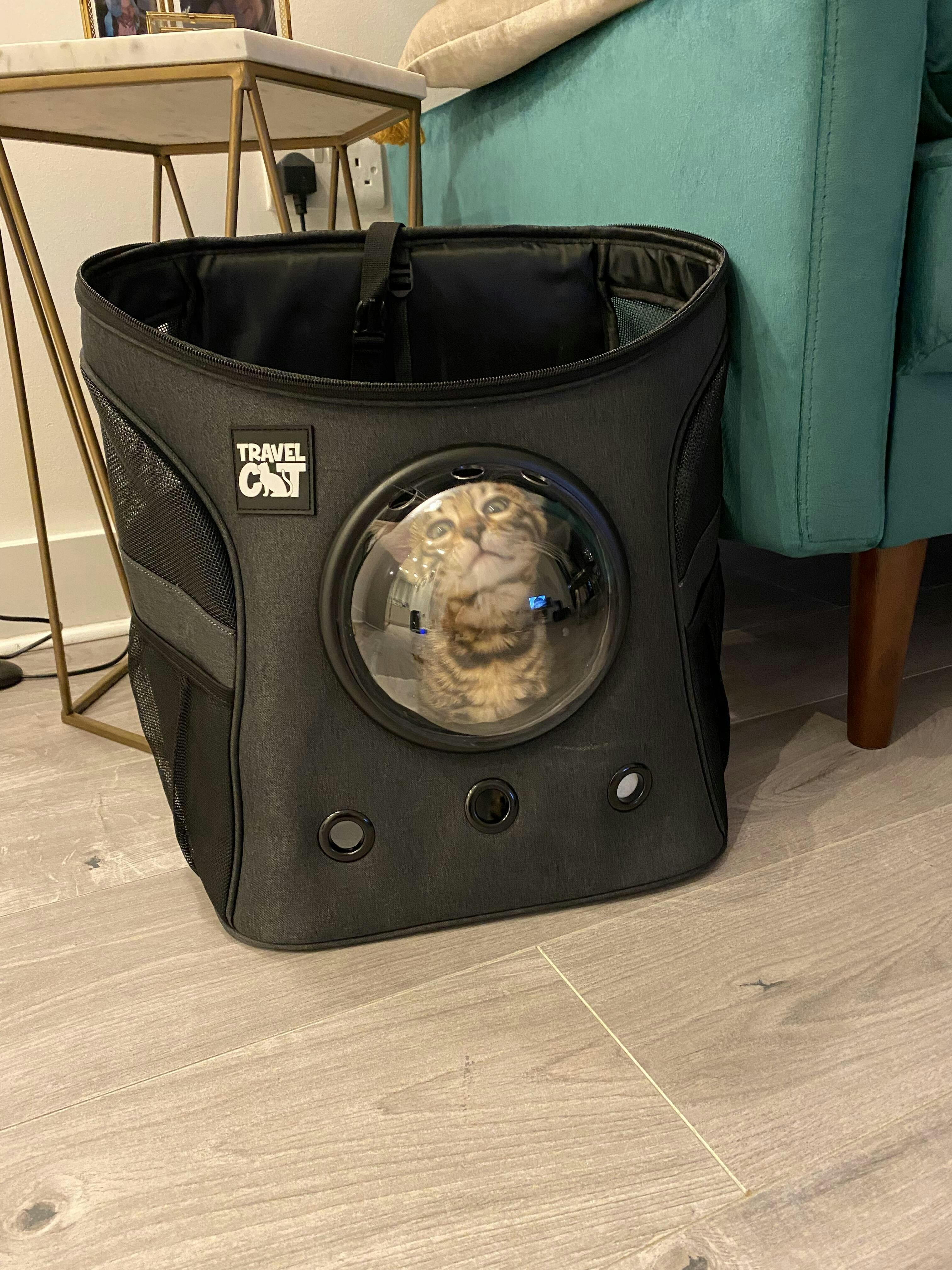 "The Fat Cat" Cat Backpack - For Larger Cats - Bubble Cat Carrier