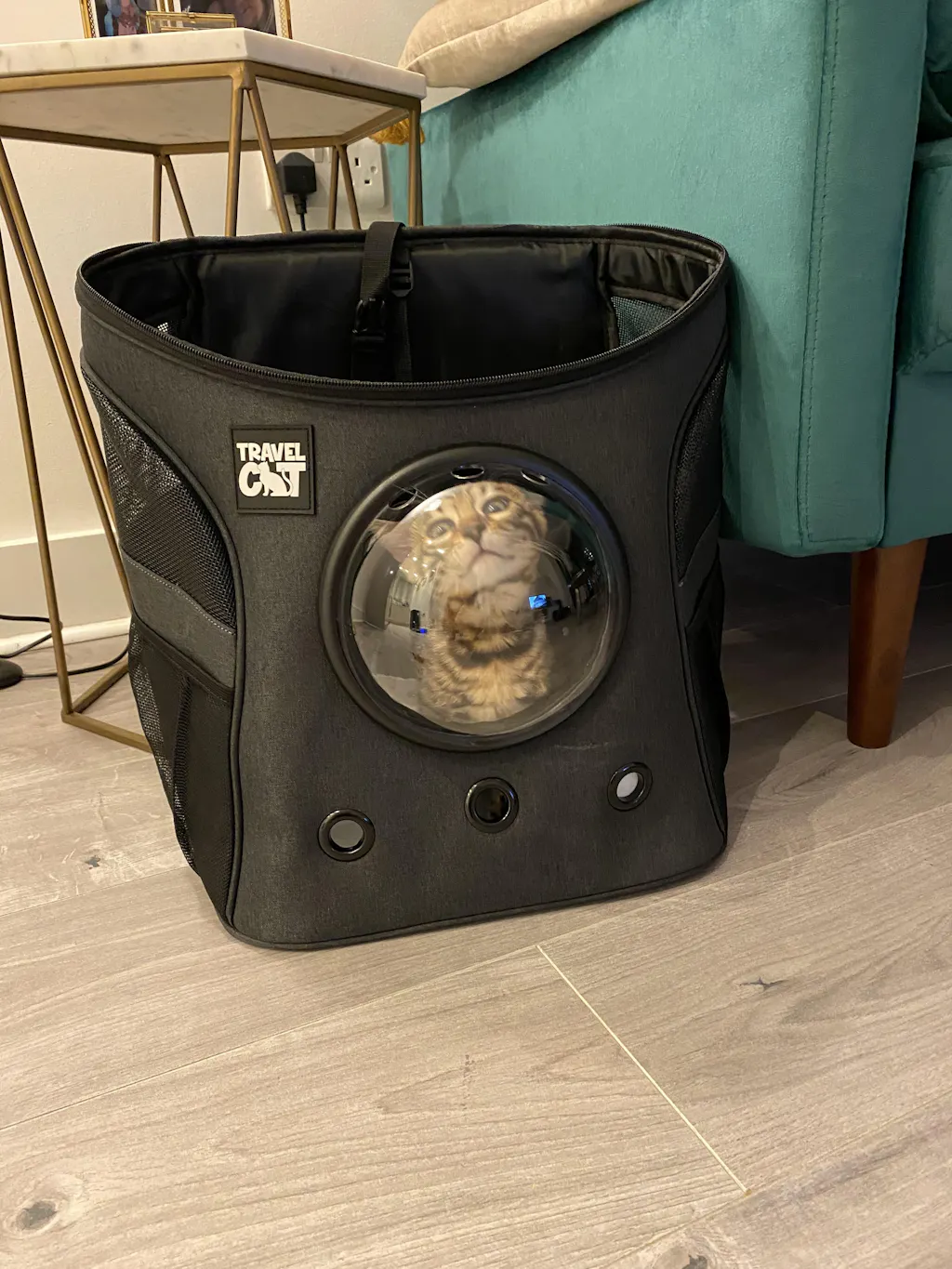 "The Fat Cat" Cat Backpack - For Larger Cats - Bubble Cat Carrier