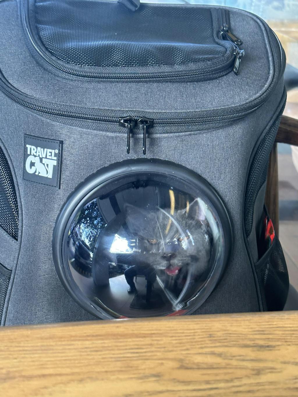 "The Fat Cat" Cat Backpack - For Larger Cats - Bubble Cat Carrier