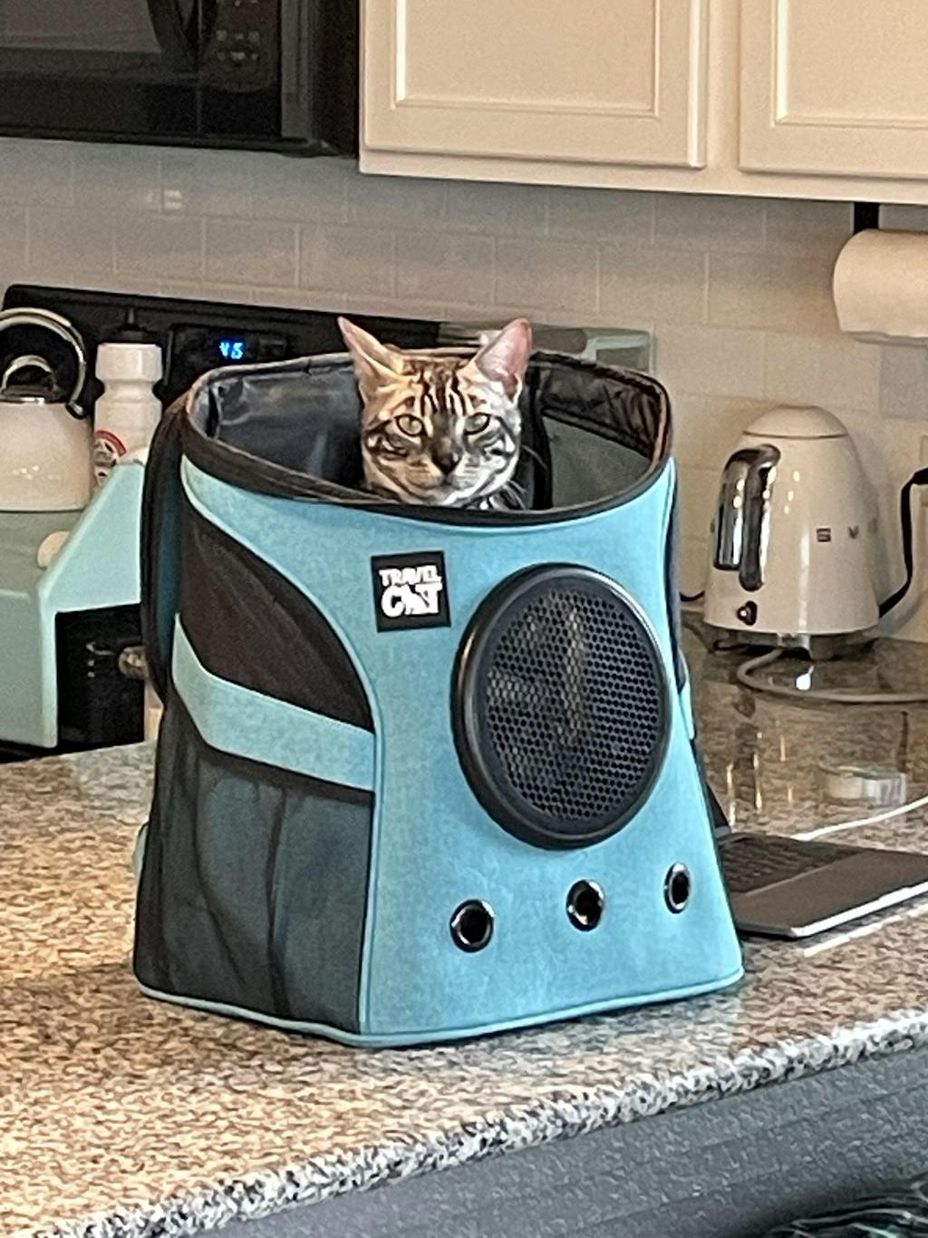 "The Fat Cat" Cat Backpack - For Larger Cats - Bubble Cat Carrier