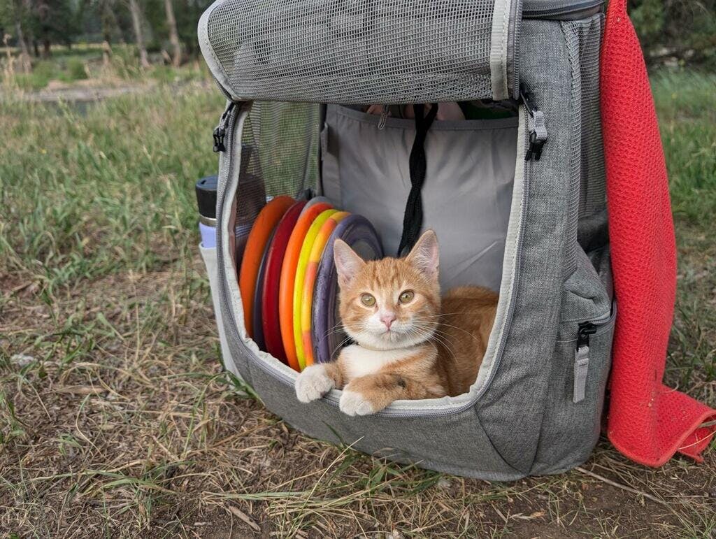 "The Navigator" Convertible Cat Backpack - For Adventurous Cats and Hu