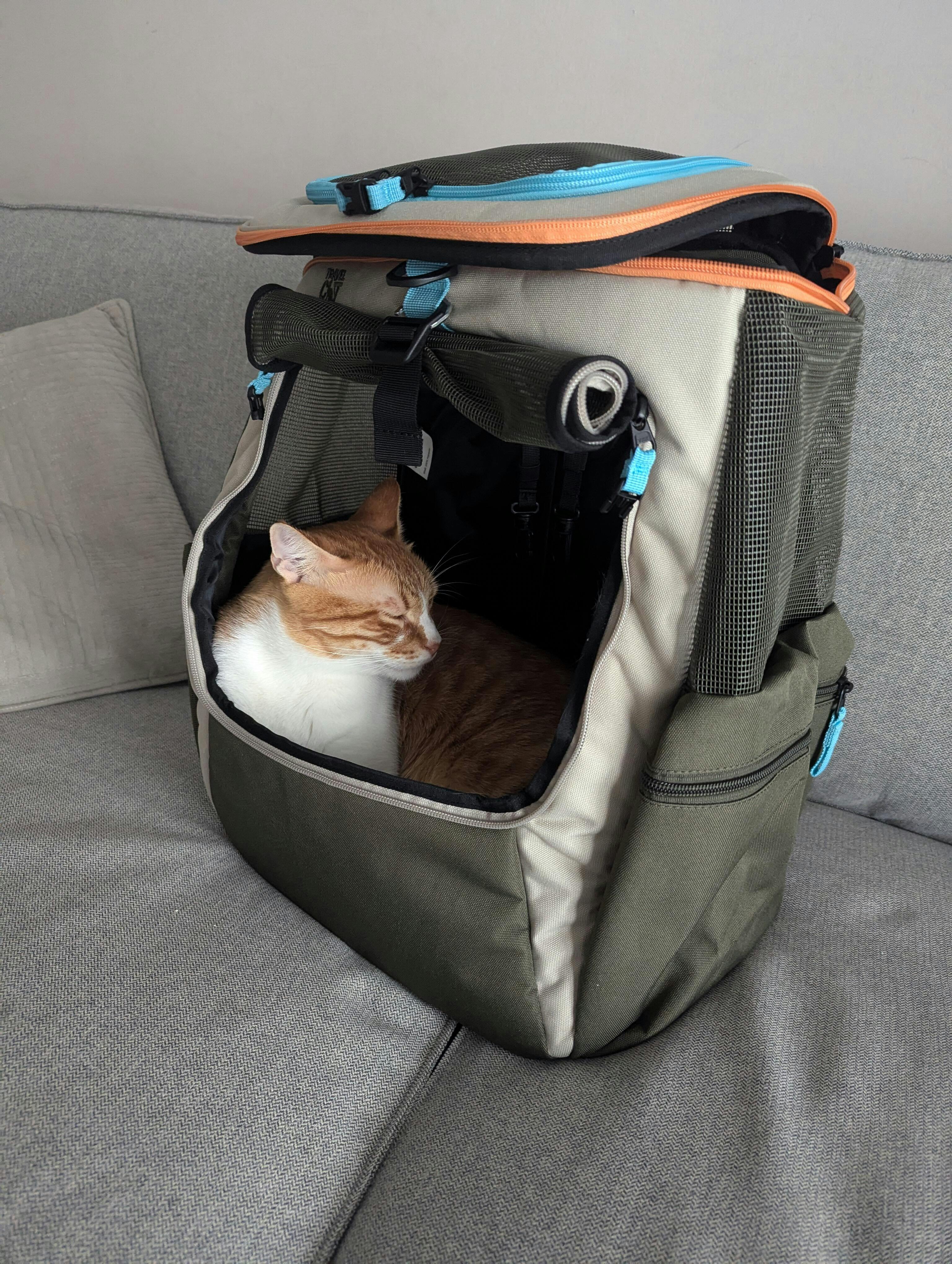 "The Navigator" Convertible Cat Backpack - For Adventurous Cats and Hu