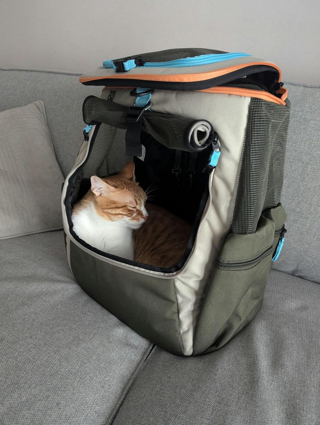 "The Navigator" Convertible Cat Backpack - For Adventurous Cats and Hu